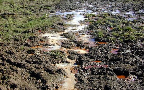 Acid Sulphate Soils | McMahon Services NZ